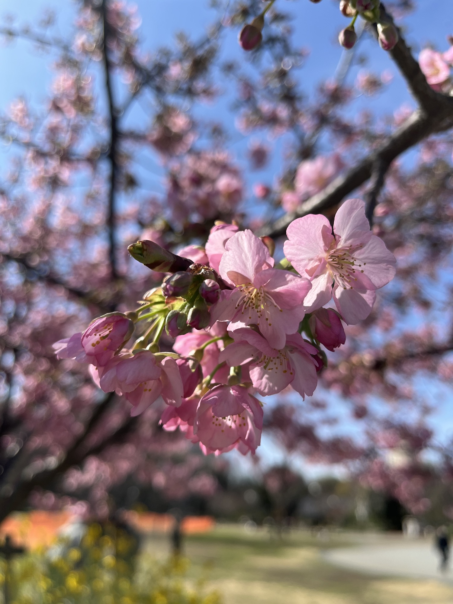 Time for a Rejuvenate-Taking a short break. – Yann's Bodywork Therapeutic